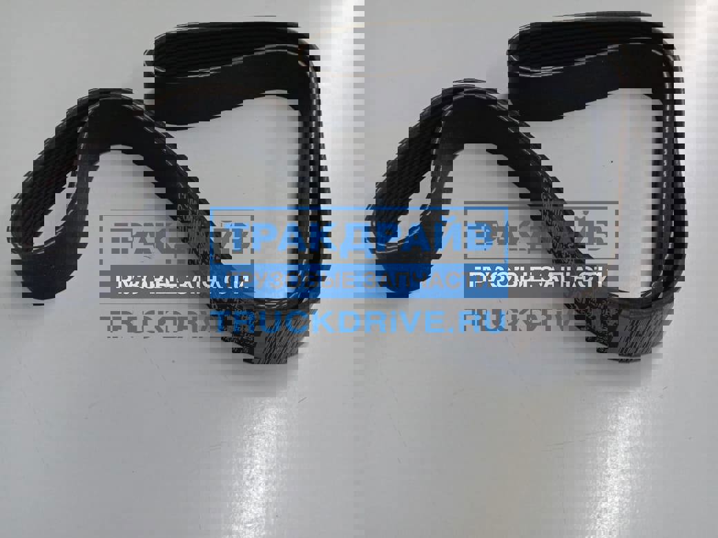 Ремень поликлиновой 8PK1445 для КАМАЗ 4308 3288790 CUMMINS купить недорого