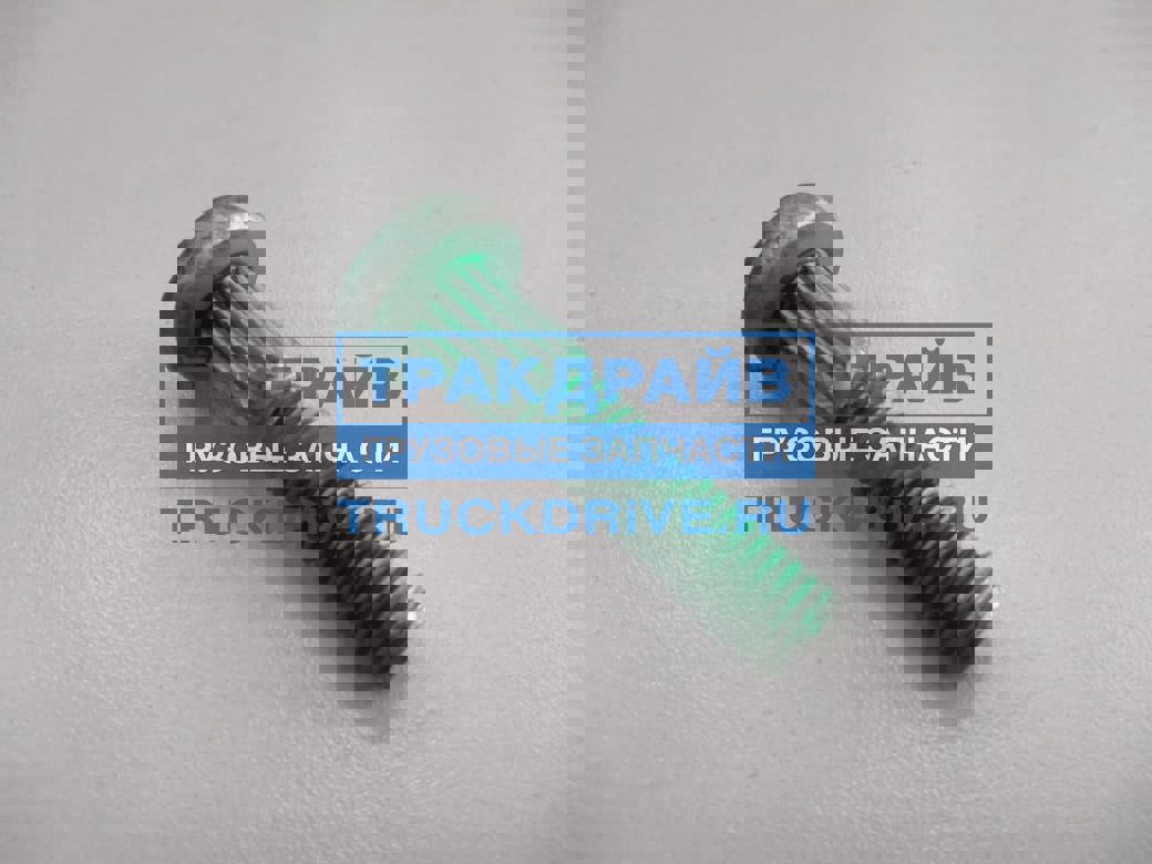 Болт шлицевой M10х45 мм. 820913 SCHMITZ купить недорого