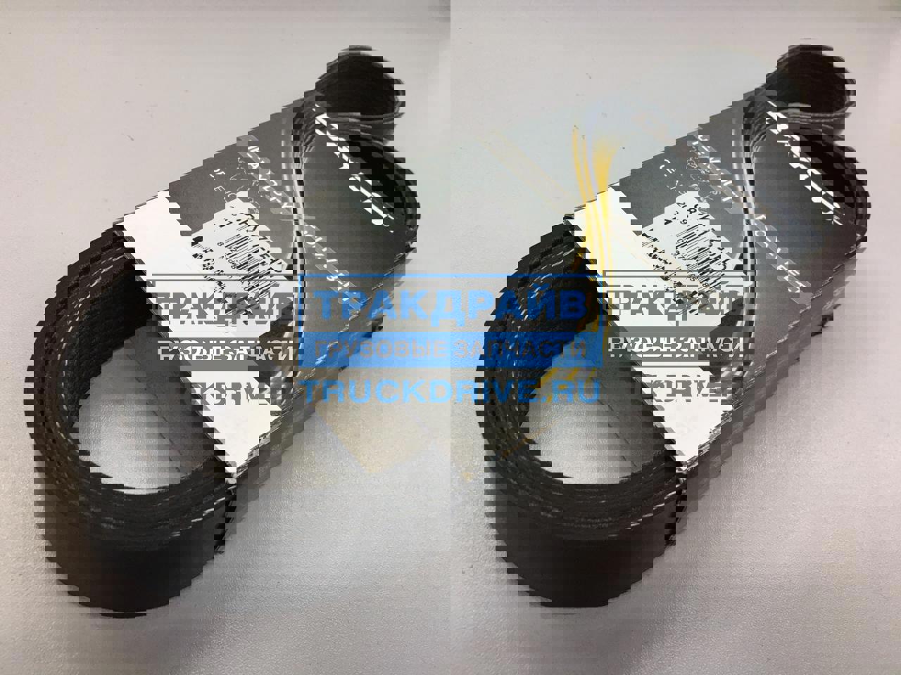 Ремень поликлиновый 8РК1727 водянного насоса 8PK1725HD DAYCO купить ...