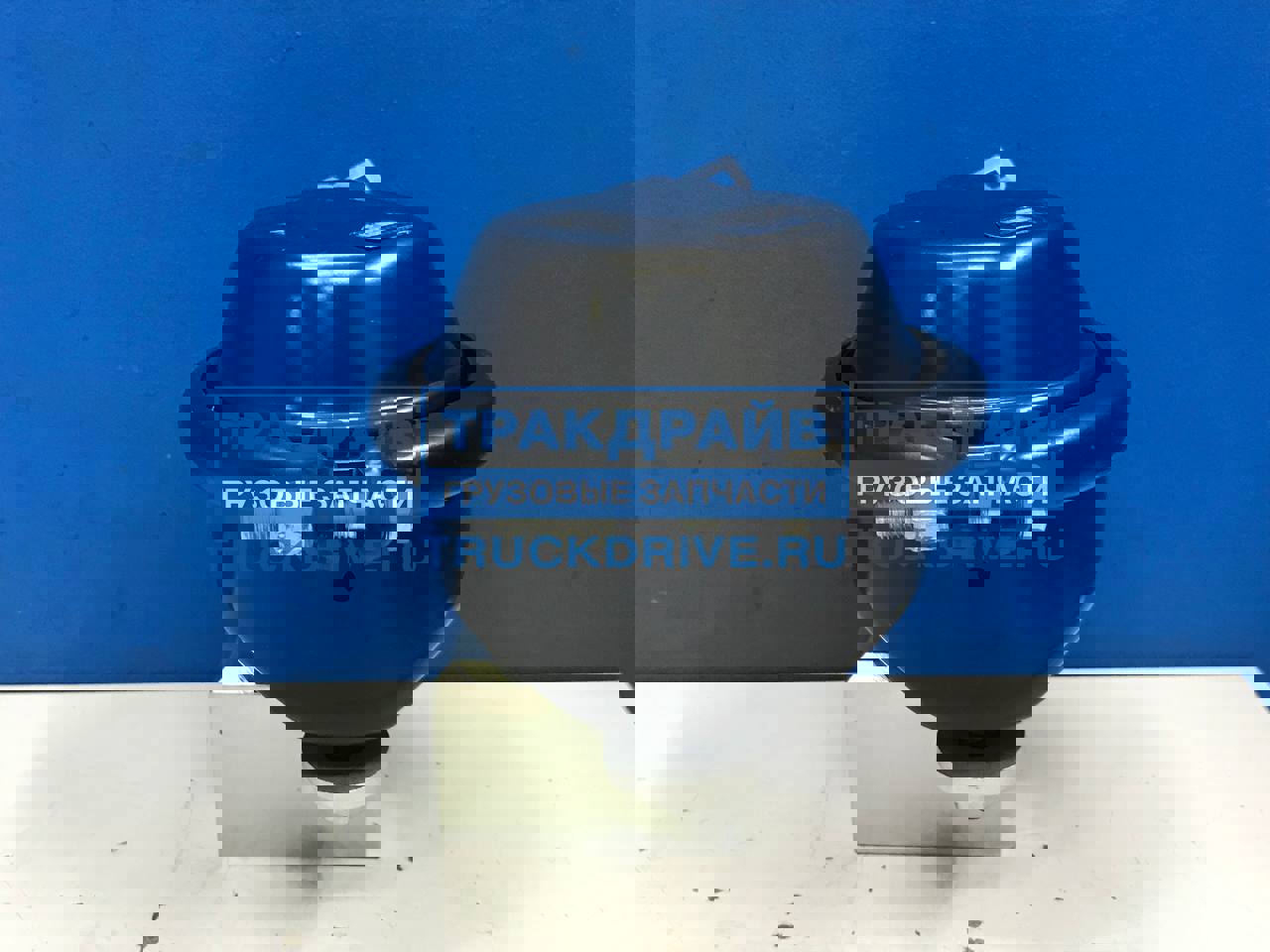Камера стопорная поворотной оси Камера тормозная BPW Eco Тип 12 GP6D010 ...