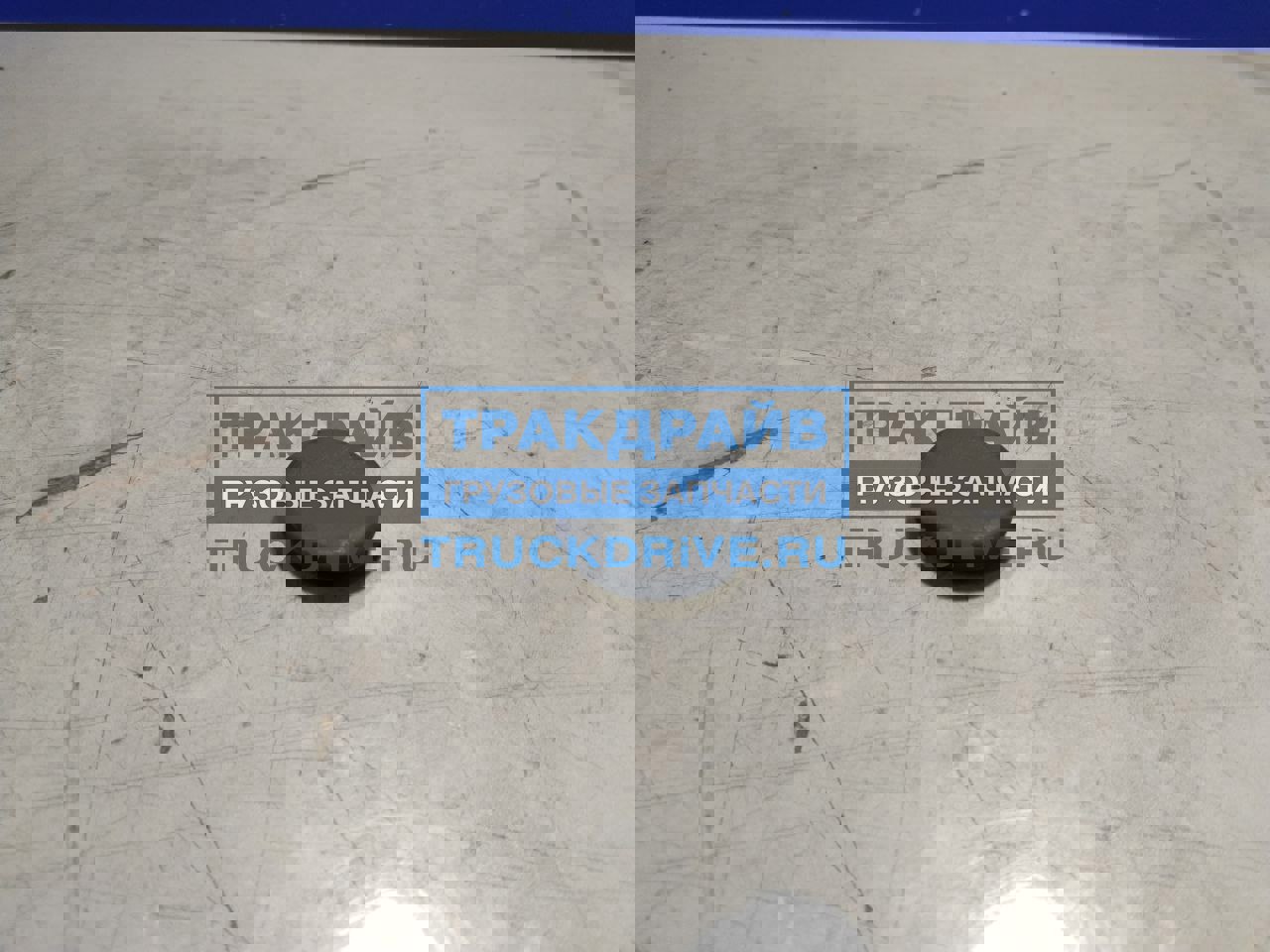 Заглушка декоративная корпуса ступеньки кабины Mercedes Actros ...