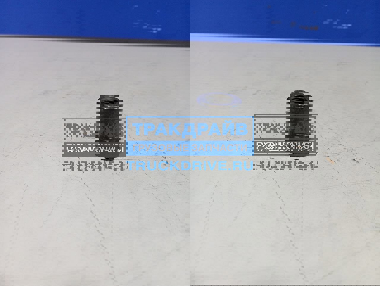 Гайка крепления брызговика для автомобилей Scania 1857875 SCANIA купить ...