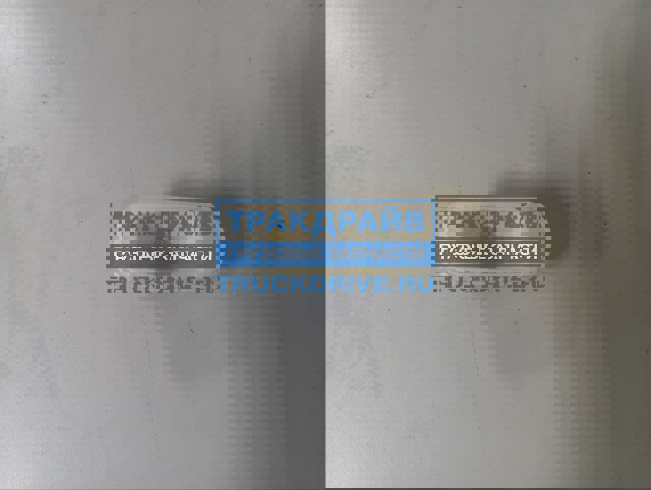 Фонарь освещения в дверь MAN TGA TGS TGX TD03-57-013 TANGDE купить недорого