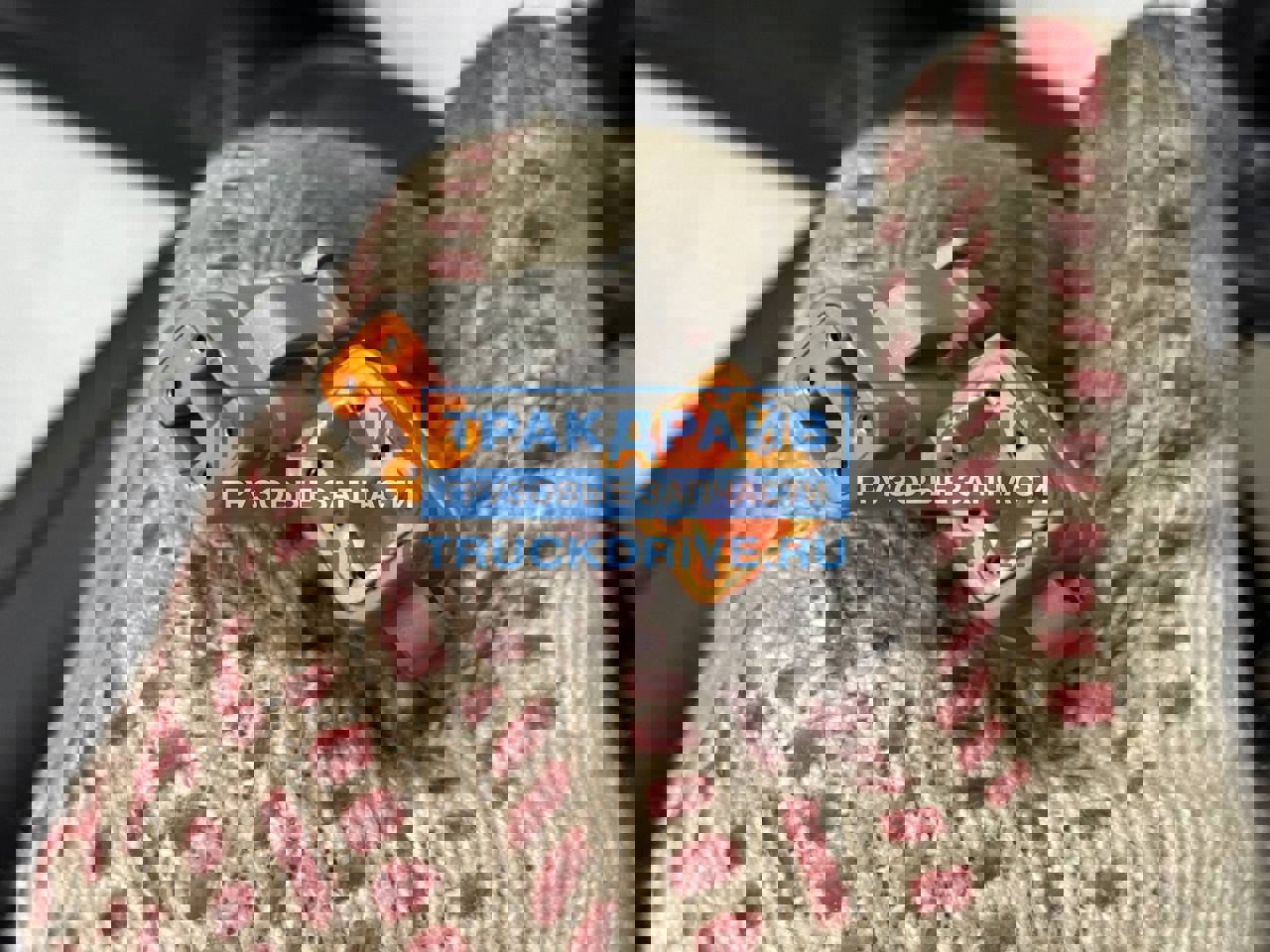 Зеркало заднего вида для автомобилей Scania 6 серии правое ZL01-52 ...