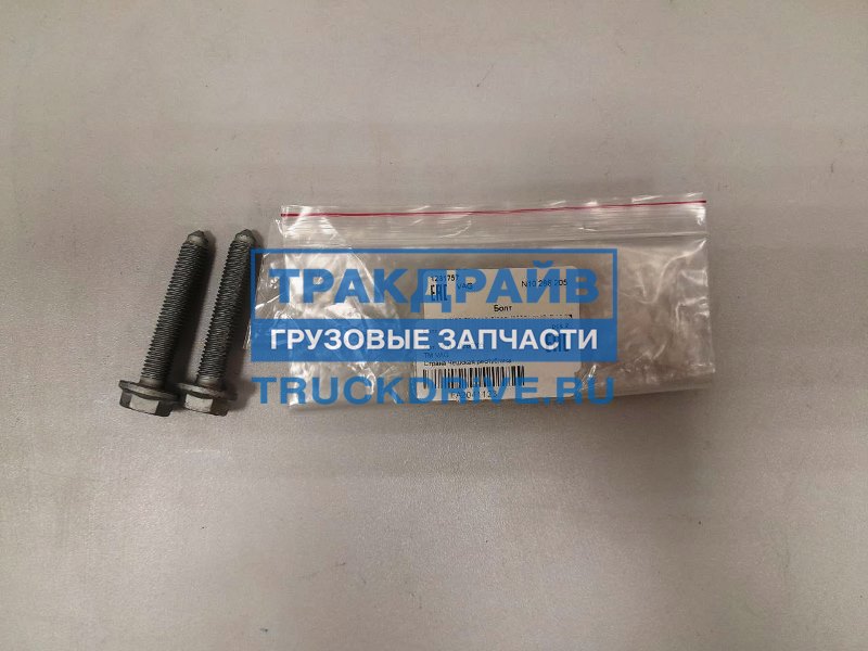 Болт с шестигранной головкой оригинал 100 N 10286205 VAG купить недорого