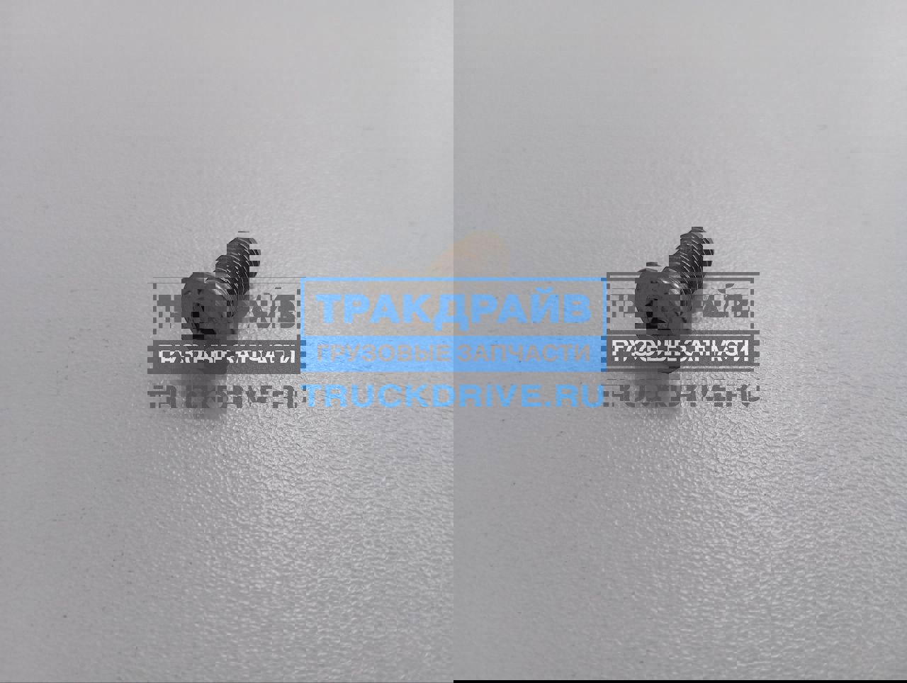 Болт AUDI/SEAT/VW м6х16 N10648301 VAG купить недорого