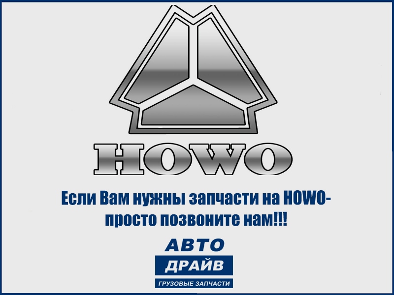 Знак на решетку HOWO AZ1646950001 HOWO купить недорого